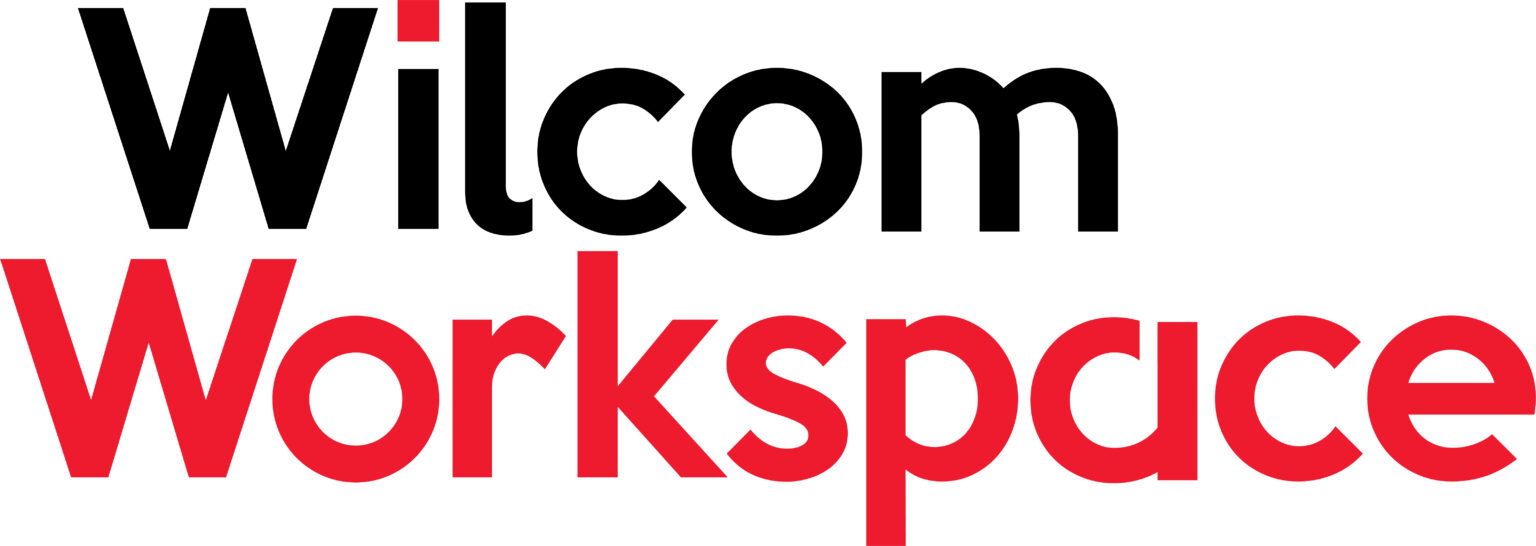 TrueSizer Pro e4.2 Announcement